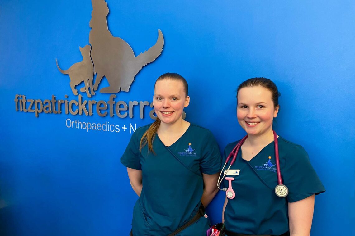 World-Class Veterinary Specialists for Small Animals - Fitzpatrick ...